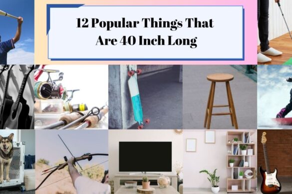 12 Popular Things That Are 6 Inches Long - Residence Journal